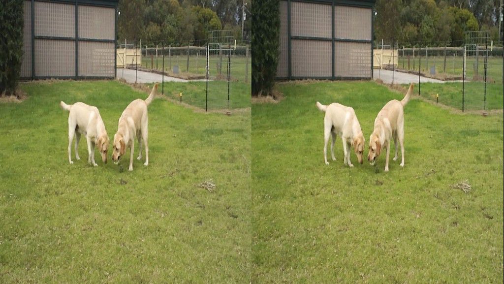 3D Video for Beginners Part 2 - Watching your 3D Video on Mac, Windows ...